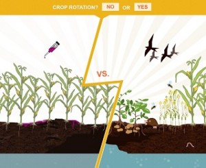 Good crop, bad crop! Take action today! | Agricultural and Rural Convention