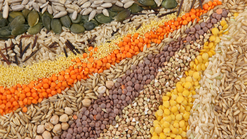 Switzerland | Illegal Seeds – Really? | Agricultural and Rural Convention Switzerland | Illegal Seeds – Really? | Agricultural and Rural Convention